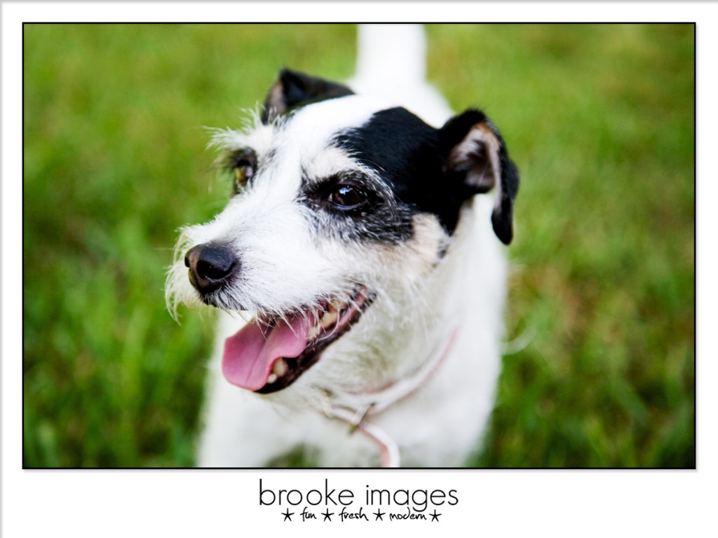 Radecki Family : Lifestyle shoot - Brooke Images | Jacksonville Wedding ...